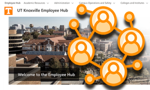Understanding Access to the UT Knoxville Employee Hub | Office of ...